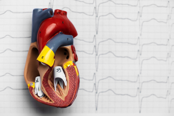 Unlocking the Secret to a Healthy Heart: Complete Heart Check-Up ...