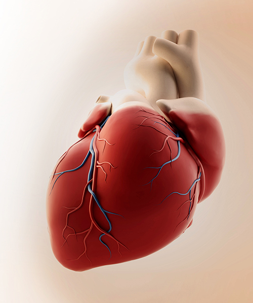 Health Check-Up Packages