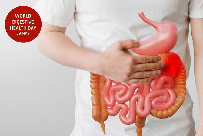 Celebrate World Digestive Health Day by taking charge of your gut ...